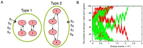 Molecular Diversity And Network Complexity In Growing Protocells