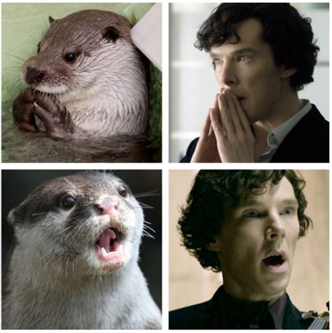 Benedict Cumberbatch Posed Like An Otter And Punched A Teddy Bear On