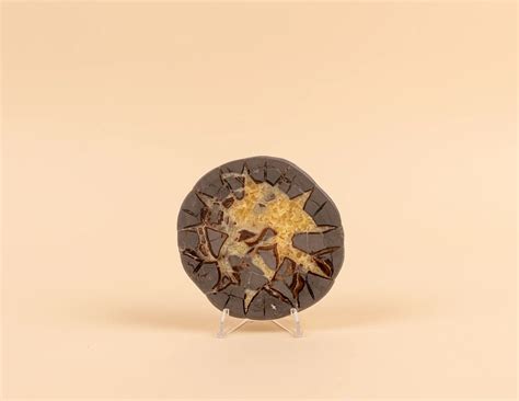 Septarian Nodule Rock Small Everything Utah