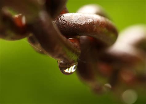 15 Rain Gutter Hacks To Keep Your Home And Garden In Top Shape Home As