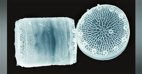 Fluorescent Biosensor Could Shine A Light On Future Nanomaterials Laser Focus World