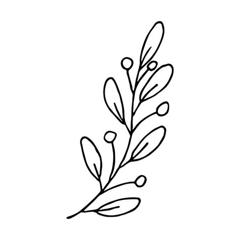 Hand Drawn Branch With Berries And Leaves Christmas Doodle Winter