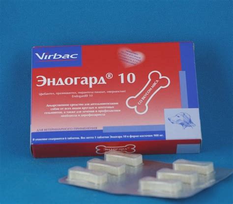 Эндогард для собак: инструкция по применению, цена, отзывы