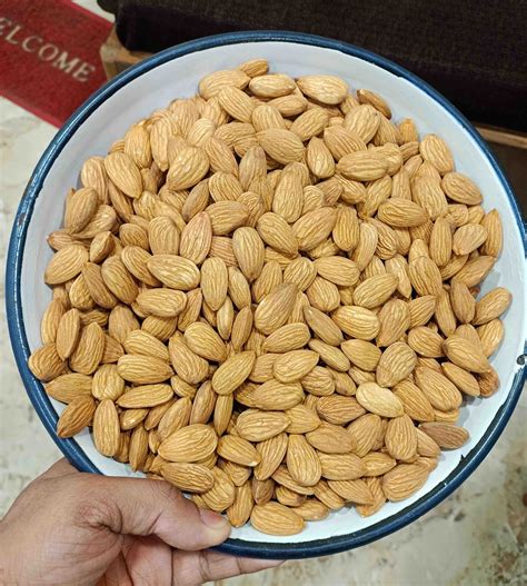 Almond Kernel Hindustan Foreign Traders