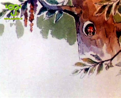 بنر سنجاب کوچولو شبکه نهال