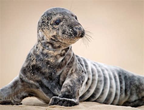 Kevin Fleming Photography Fubiz Media