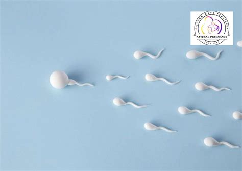 Signs Of Bad Male Sperm Quality I KL Fertility Centre