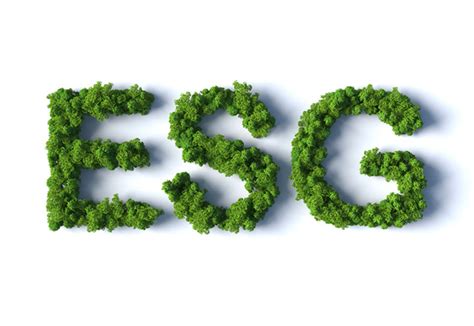 Esg Support Lg Information Display