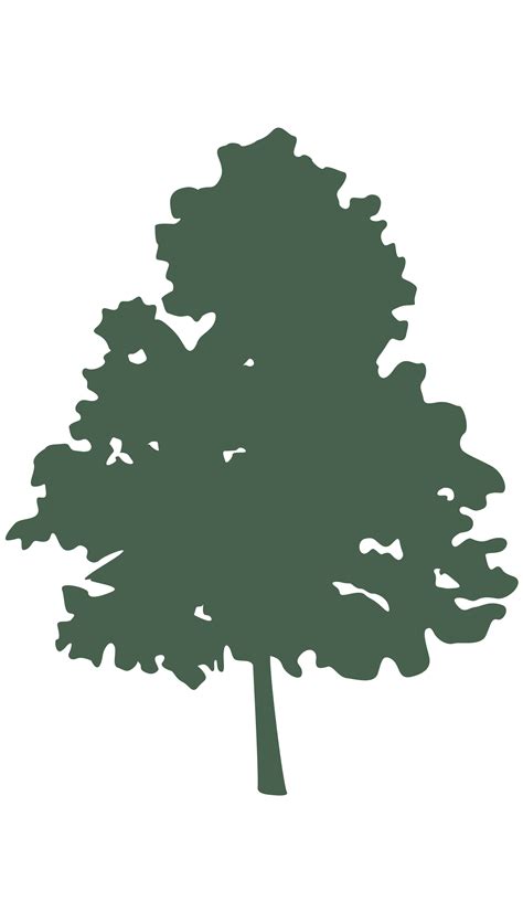 Contact — Elmina B Sewall