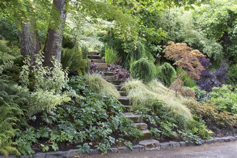 This Steep Hillside Faces The Front Door Of Our Clients House Wrapping The Entry Area In