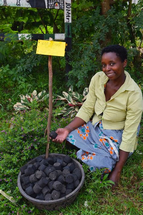 Eco Briquettes New Nature Foundation