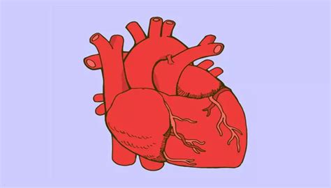 How To Know If Myocarditis Is Getting Better