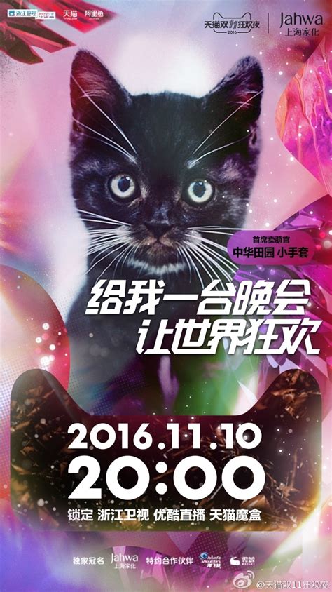 天猫2016双11狂欢夜图册360百科