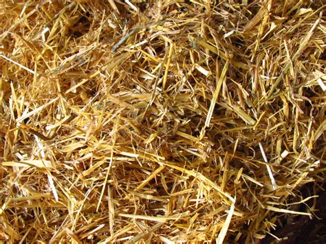 Straw By Kajacamorra On Deviantart