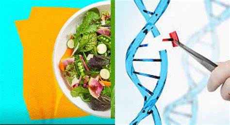 Whats The Difference Between Gmo And Crispr Nature Nurtured