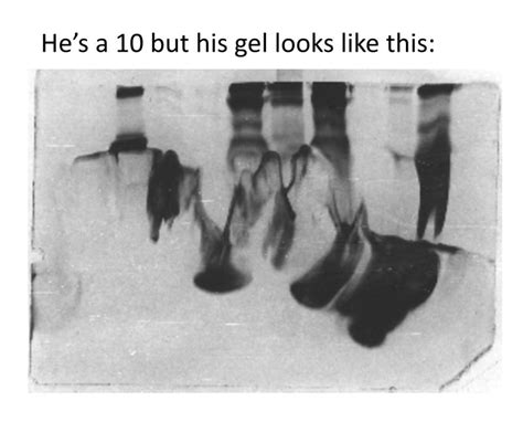 Genscript Europe On Linkedin Genscripthumor Genesynthesis Geneengineering Geneediting…