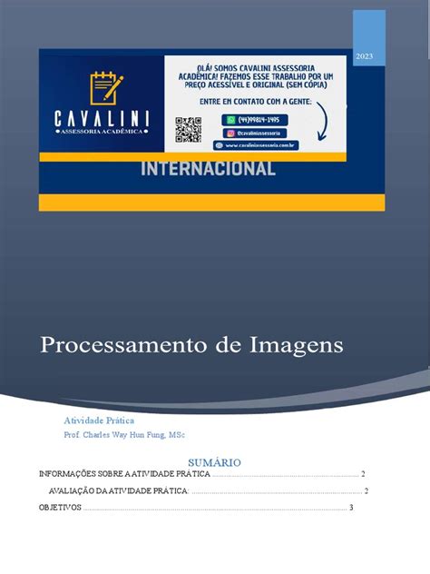 Processamento De Imagens Pdf