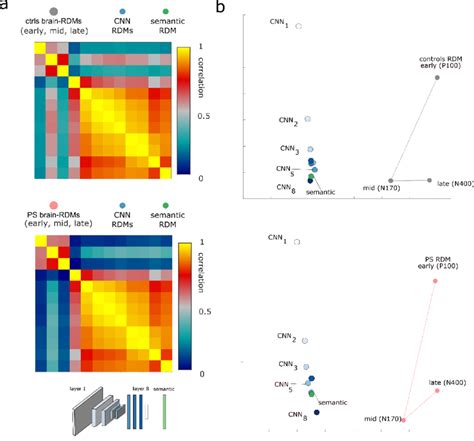 representational trajectories of brain and computation models a all