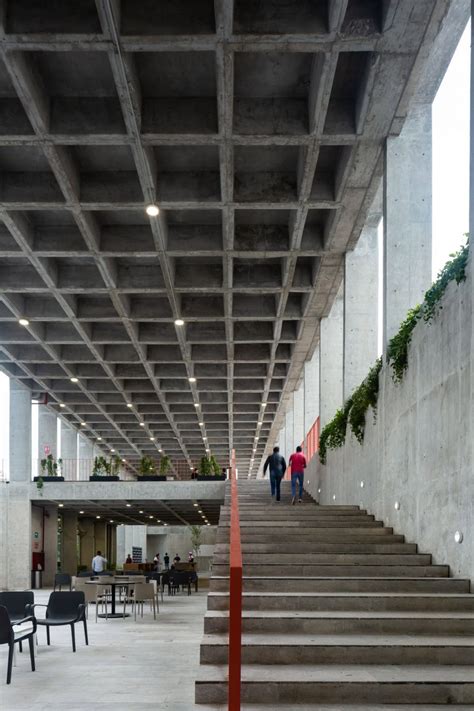 Lush Gardens Feature In Concrete Mexican School Ebc Aguascalientes