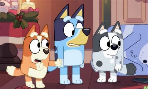 Abcs Bluey Is Getting A Christmas Special Episode And We Have The