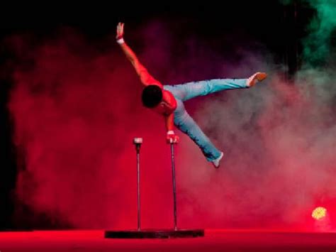 Renovo Blog Le Cirque Amar Em Fortaleza
