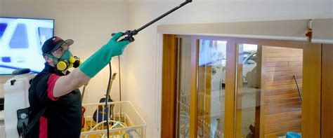 Terminating The Nightmare With Borax Termite Treatment By The Local