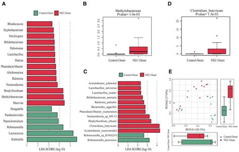 Significant Differences In The Microbiota And Correlation A Gut