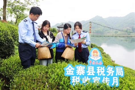 国家税务总局安徽省税务局 基层动态 金寨：税惠助力六安瓜片增香添味