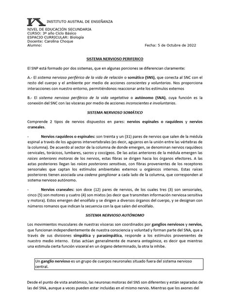 Sistema Nervioso Periferico Pdf Sistema Nervioso Nervio