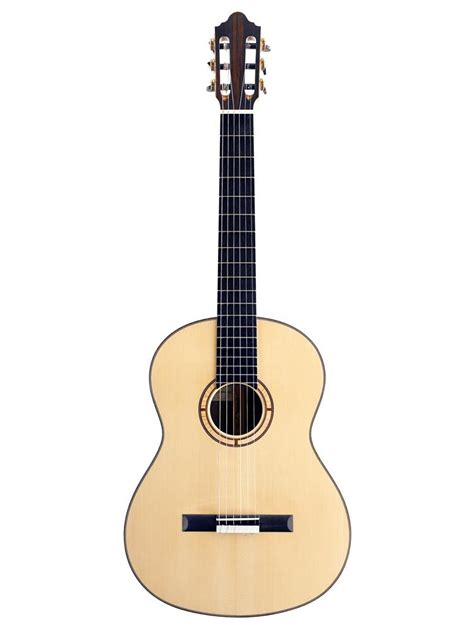 6 String Guitar