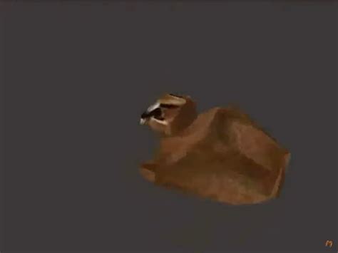 Made My Own Cube I Call It Koby Cube R Floppa