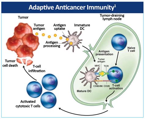 Nsclc Pathophysiology Nsclc