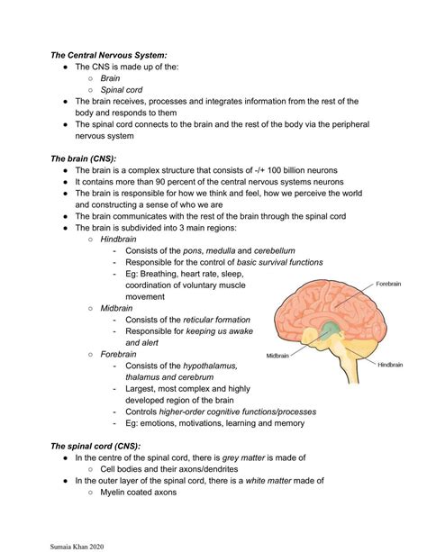 Psych Notes Psychology Year 12 Vce Thinkswap