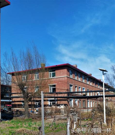 東北大山裡的老國企家屬區，筒子樓下到處種大蔥，街邊擺滿大醬缸 每日頭條