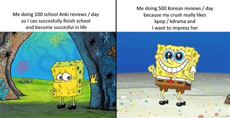 using latex in anki addon anki