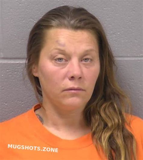 Kozel Brandy L 04 14 2024 Will County Mugshots Zone