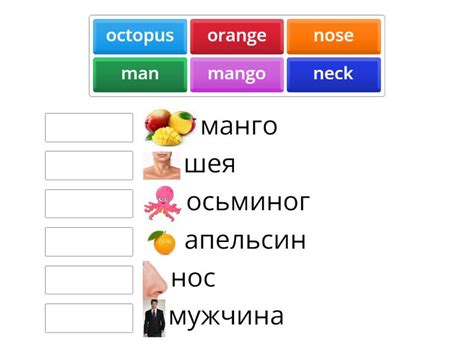 София Х слова 12 11 24 Сопоставить