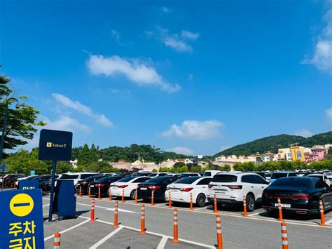 에버랜드 가기 전 알아두면 좋은 것들 주차자유이용권스마트줄서기머리띠 네이버 블로그