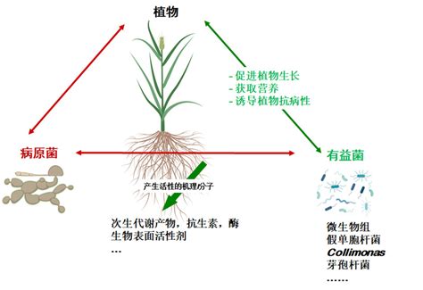资源与环境学院