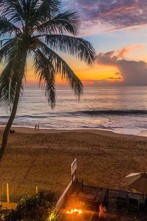 Sunset From Our Beach Hotel In Hikkaduwa 🌴☀️ Nel 2024 Giardino