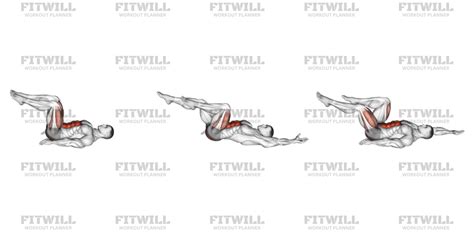 Dead Bug Version 2 Guide Techniques Benefits How To Muscles Worked Tips And Tricks Fitwill Dead Bug Version 2 Guide Techniques Benefits How To Muscles Worked Tips And Tricks Fitwill