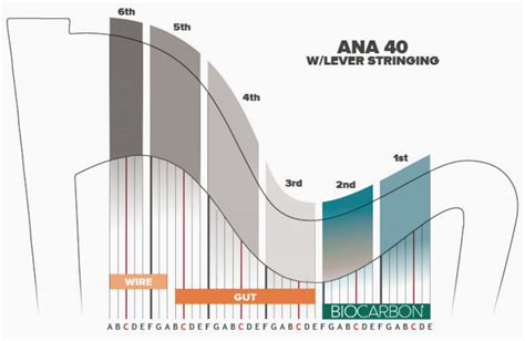 Salvi Professional Lever Harp Ana Deluxe Hong Kong Harp Centre