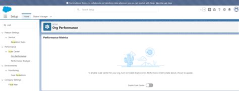 salesforce scale center apex hours