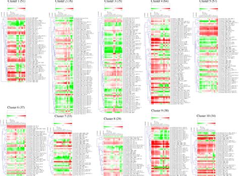 Heatmaps Of The 10 Clusters Generated By Clustering The Expression Download Scientific Diagram