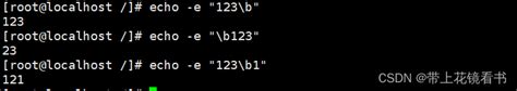 Linux中关于echo命令详解echo 参数说明 Csdn博客