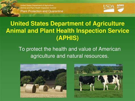 Ppt Aphis Regulated Garbage Program Powerpoint Presentation Free