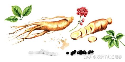 好消息替雷利珠单抗获批一线治疗晚期胃癌生存期刷新记录 知乎