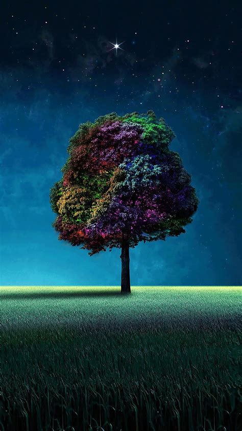 Rainbow Tree Wallpapers Wallpaper Cave