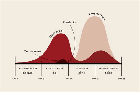 Harnessing The Power Of Your Menstrual Cycle My Bleeding Days