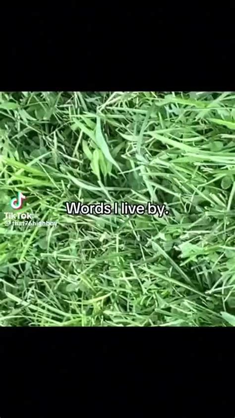 The Most Logical Train Of Thought Album On Imgur